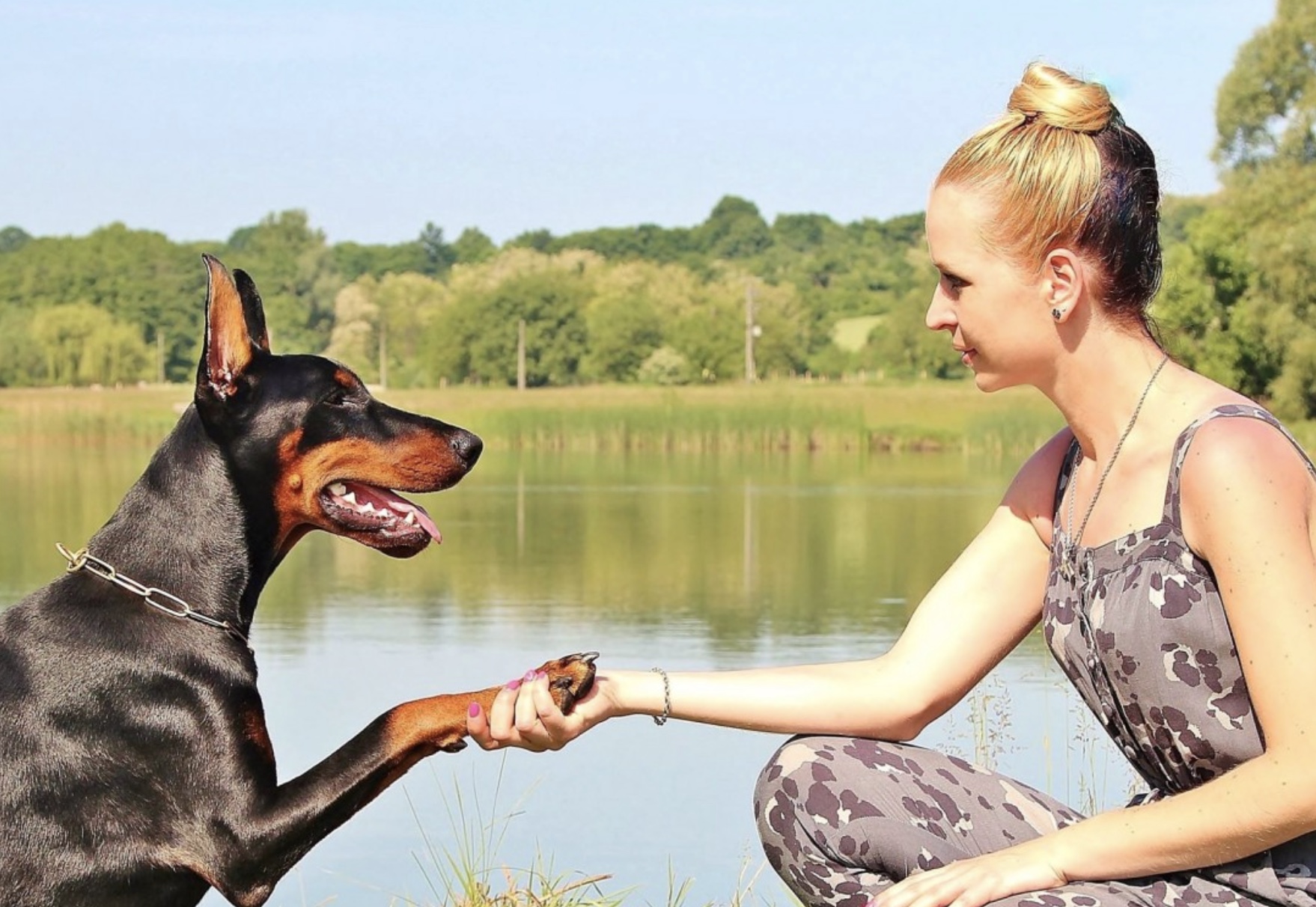 How To Make Your Dog Absolutely Love People?