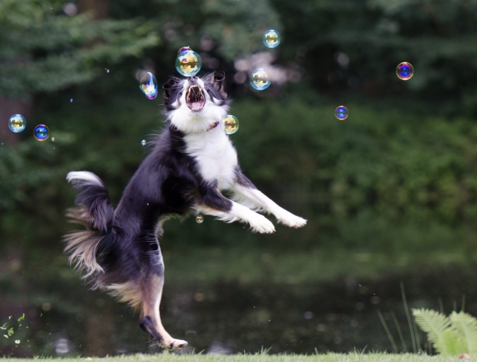 Chase Up Game – How To Play It And Why?