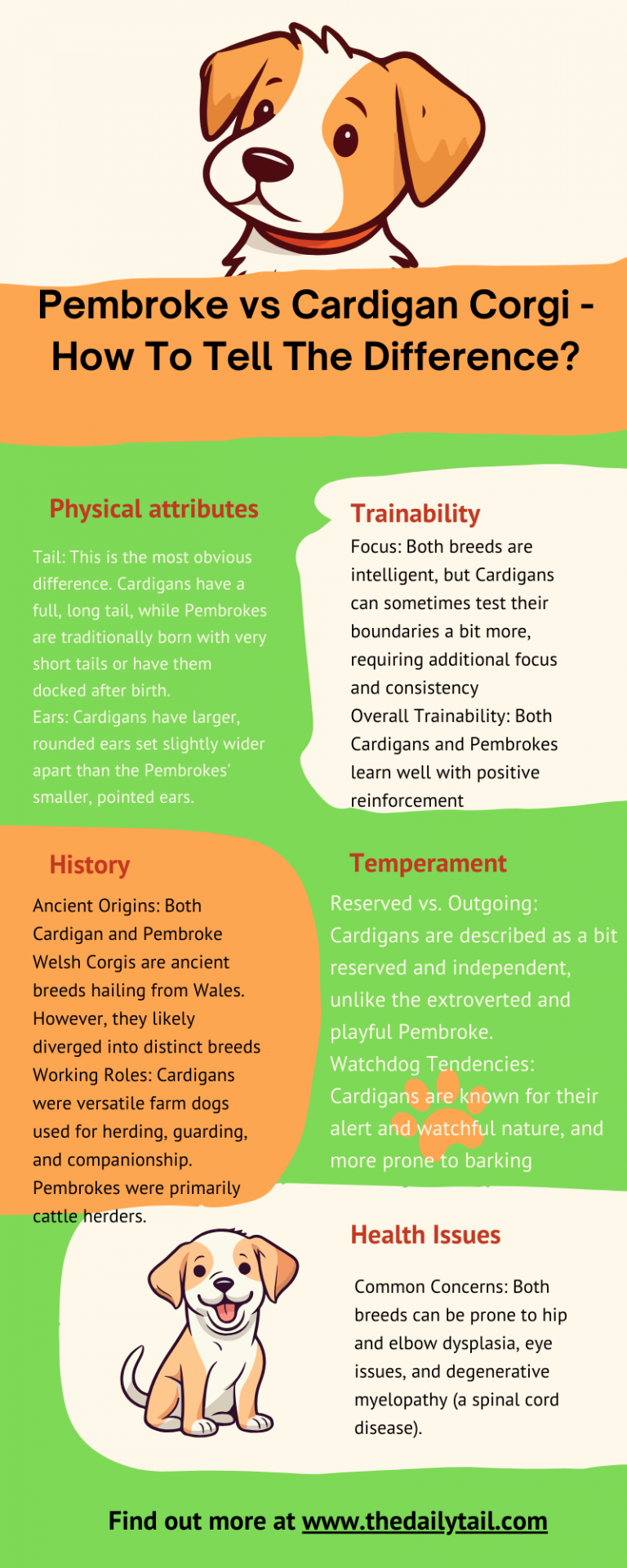 Pembroke Vs Cardigan Corgi - How To Tell The Difference?