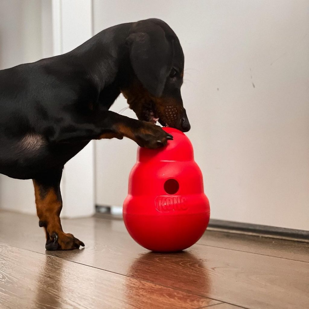 Interactive Fun: The Best Toys For Dogs That Move On Their Own
