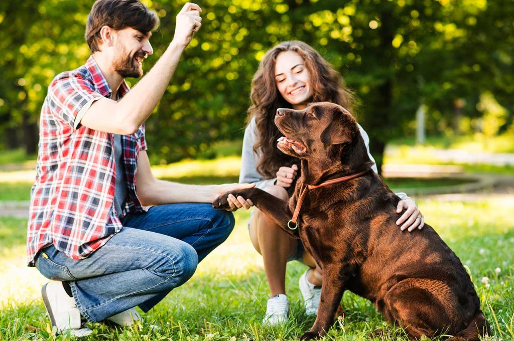 How To Train Your Dog To Greet Strangers Calmly And Without Barking