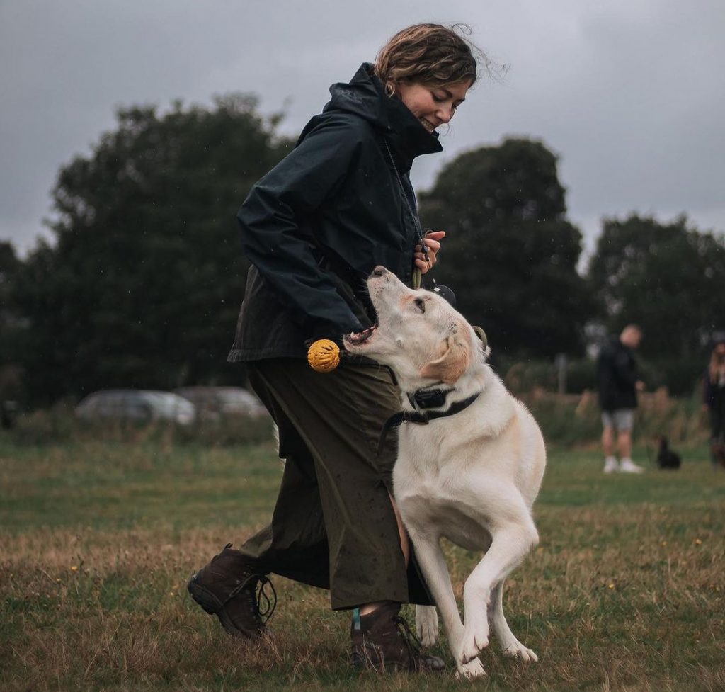 The Science Of Dog Play: Why Dogs Play And What It Means
