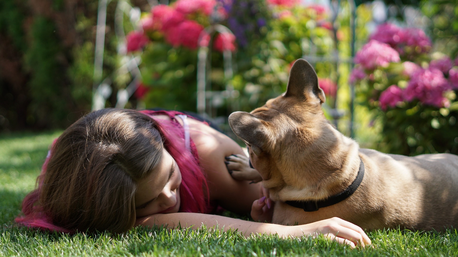 How Do Dogs Show Affection – Understanding The Love Language Of Your ...