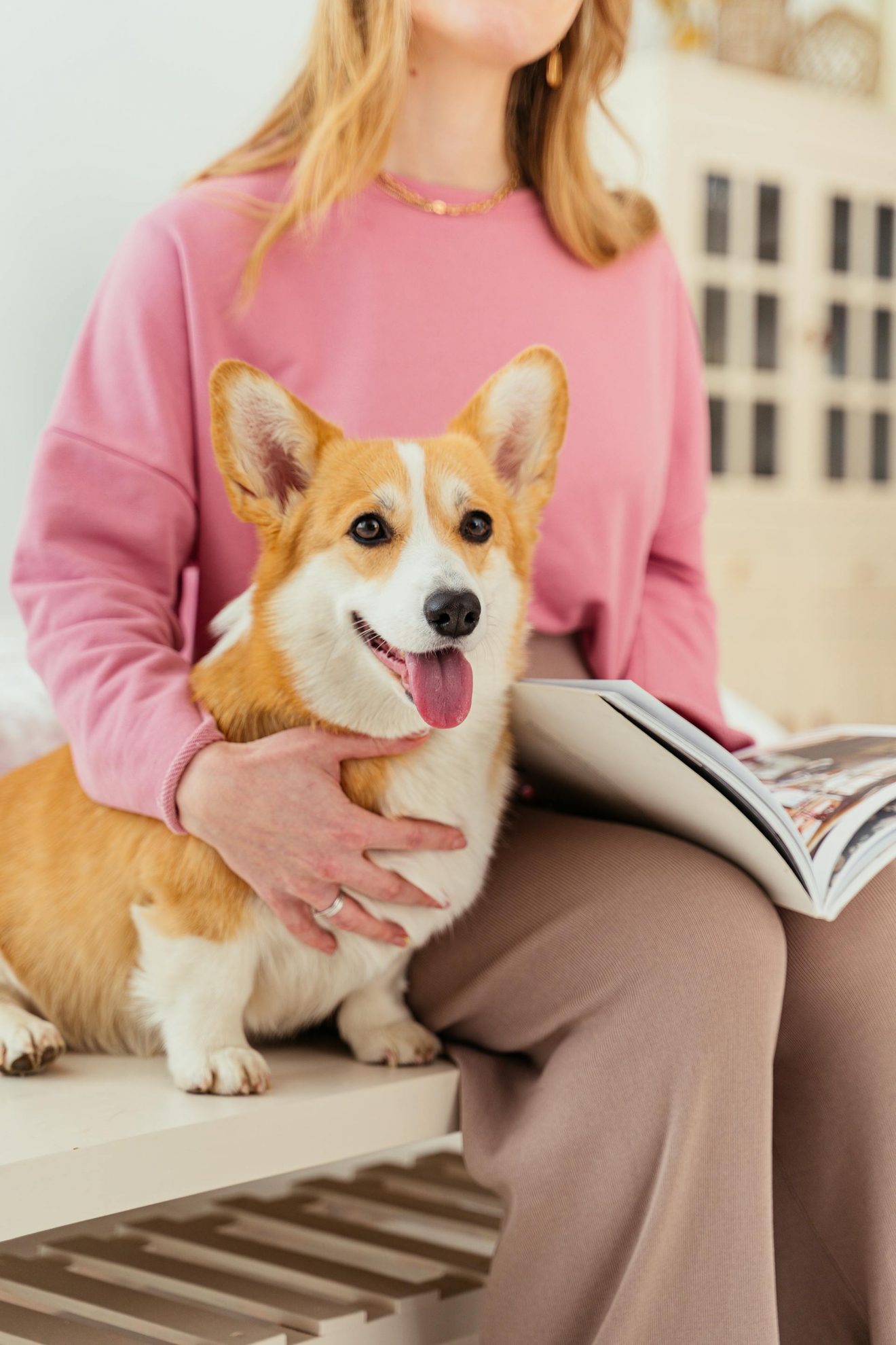 Male Corgi Vs Female Corgi: Understanding Personality And Behavior ...