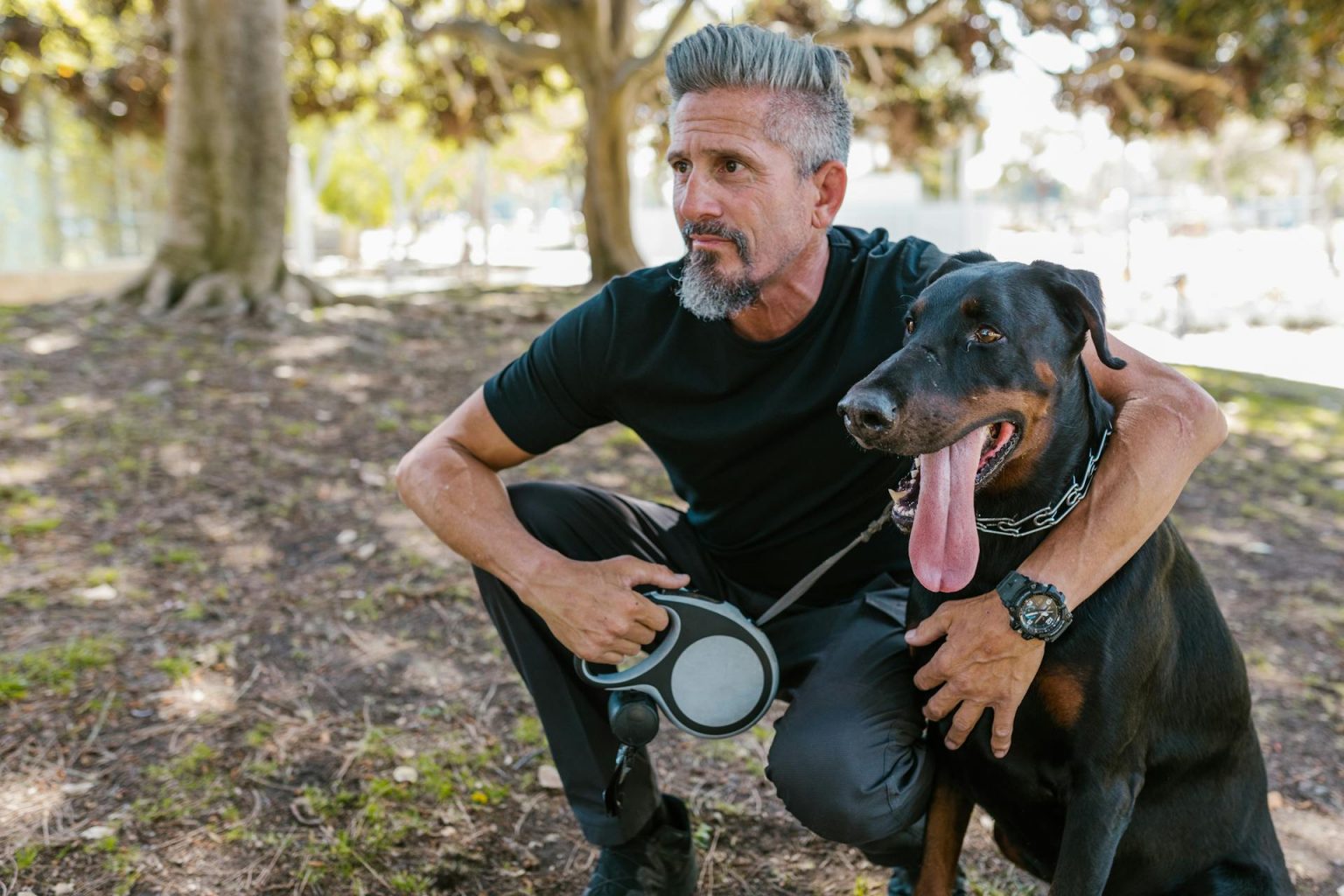 Male Vs Female Doberman: Understanding Personality And Trait Differences