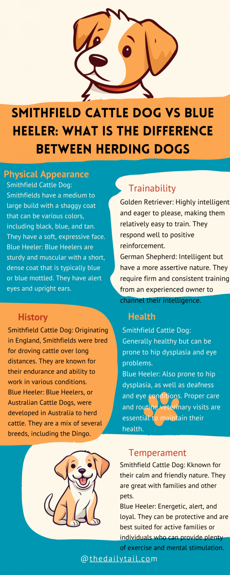 Smithfield Cattle Dog Vs Blue Heeler: Understanding The Difference ...