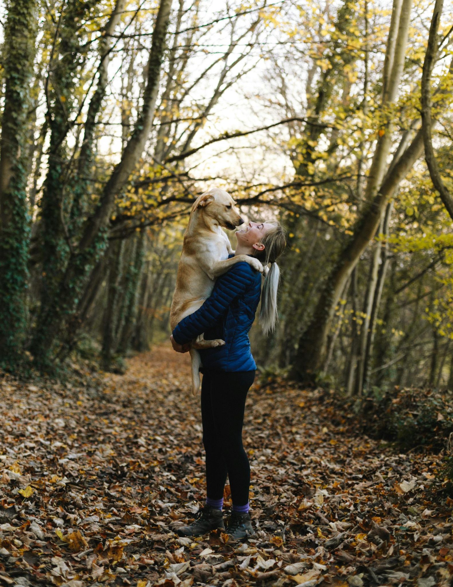 How To Walk Your Dog In Unfamiliar Places?