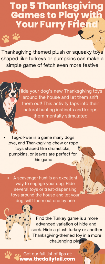 Feast Of Fun: Thanksgiving Games To Play With Your Furry Friend