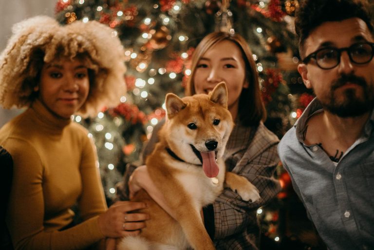 Furry Festivities: How To Celebrate Christmas With Your Dog