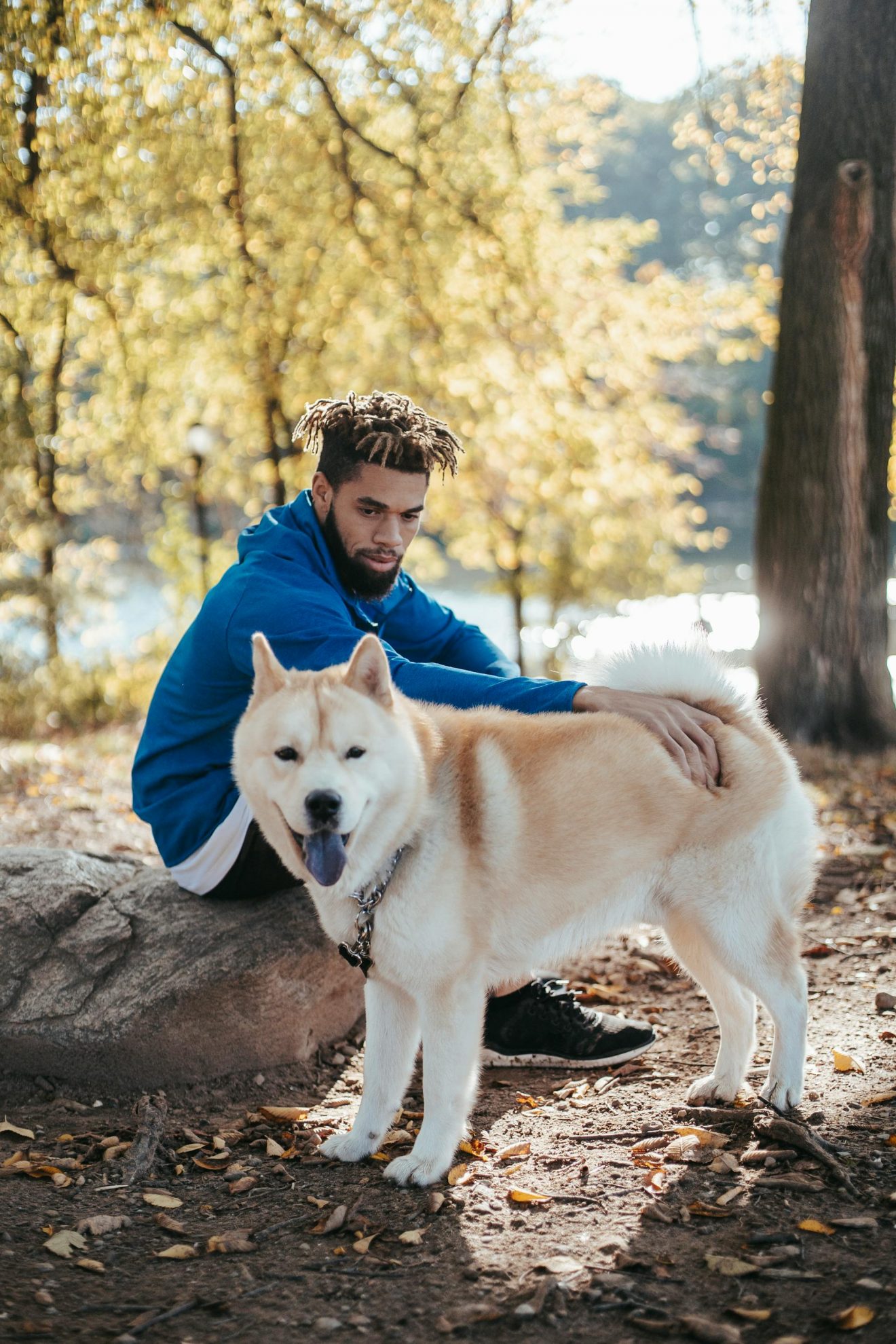 Think Twice Before You Pat A Dog’s Head—Here’s Why They Hate It