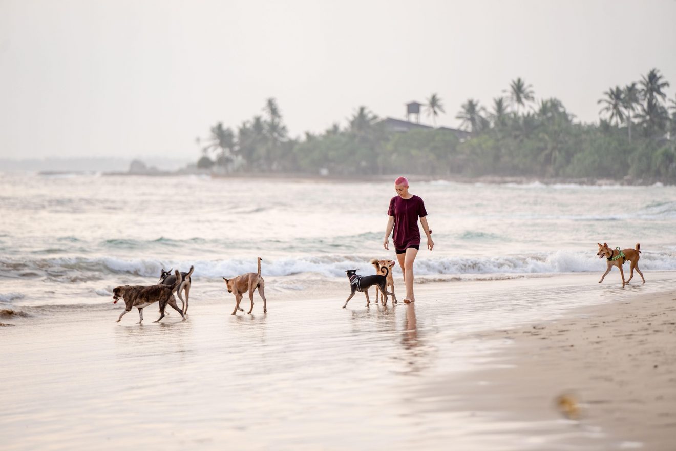 Tired Of The Same Routine? Try These Fun Dog Date Ideas
